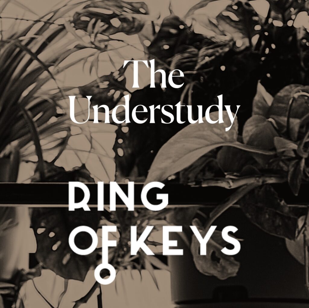 A Perfect Map of Everything by Connor Geary - The Understudy